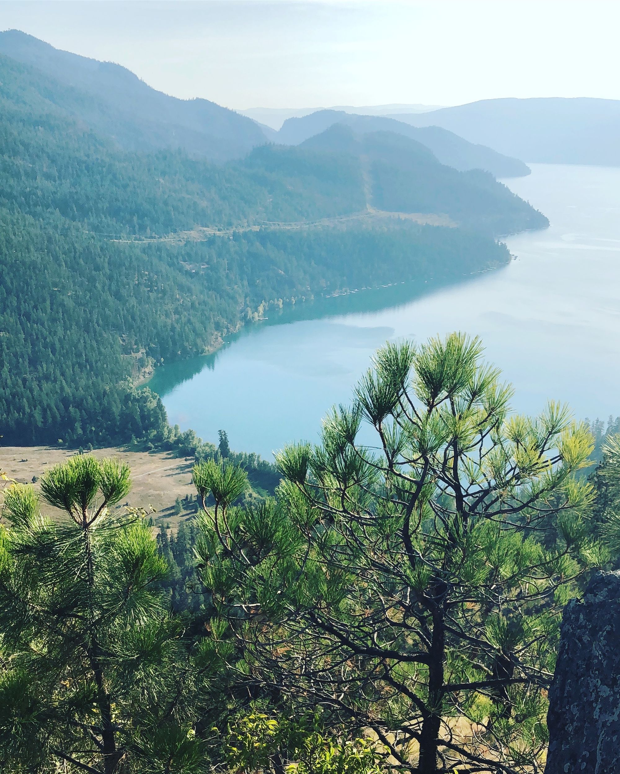 Newsletter | Rewilding Magazine