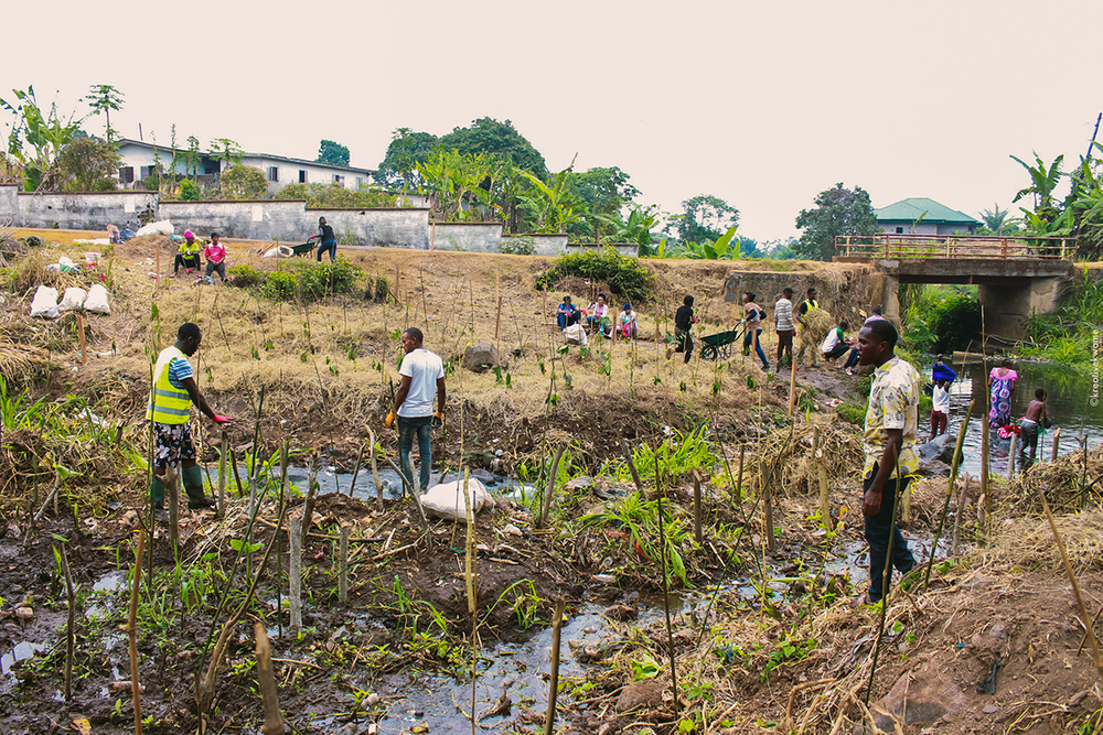 Limbi Blessing Tata, Ecological Balance | Rewilding Magazine