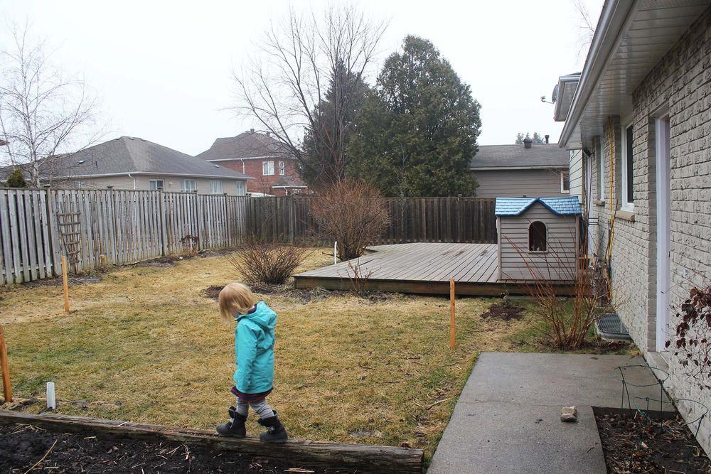 6 Tips for Rewilding Your Home, Garden and Yard