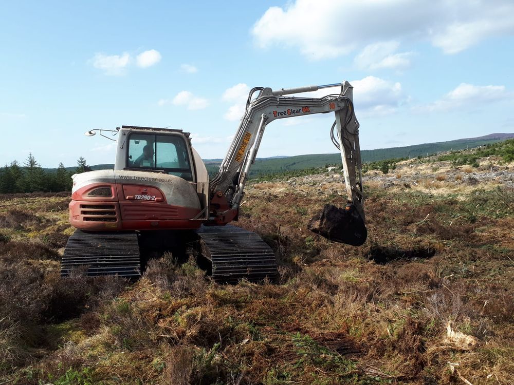 Peat Bogs Are Massive Carbon Stores That We Need to Protect