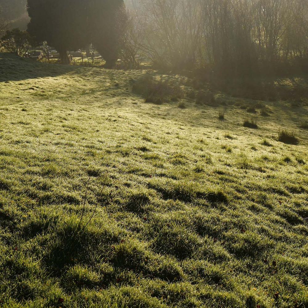 How Tir Natur Is Uniting Welsh Farmers and Rewilders