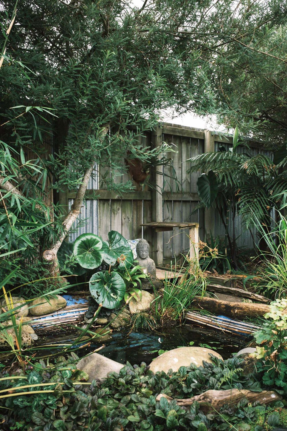 “I grew a native forest and found peace – and survival”