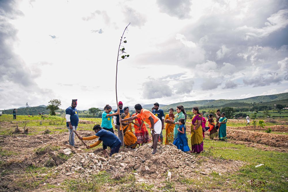 The community beating drought with tree-based farming