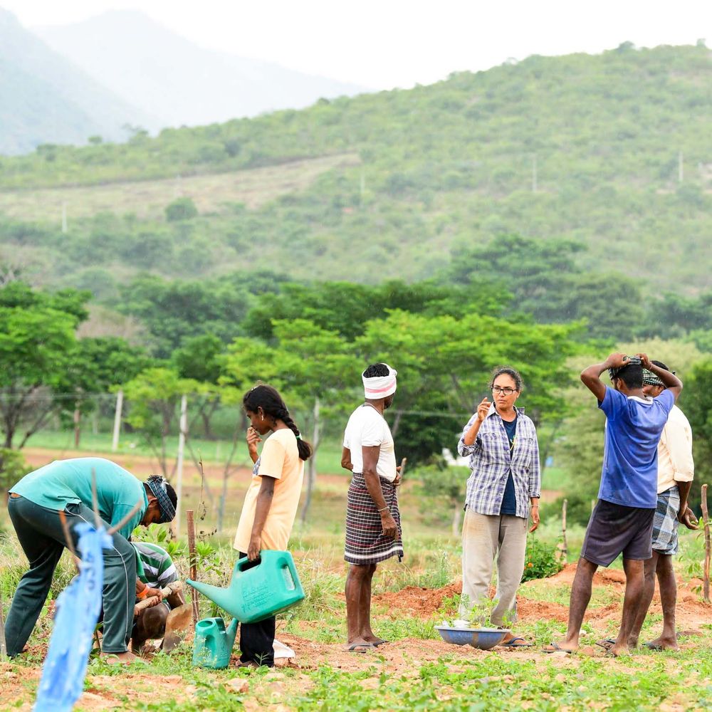The community beating drought with tree-based farming