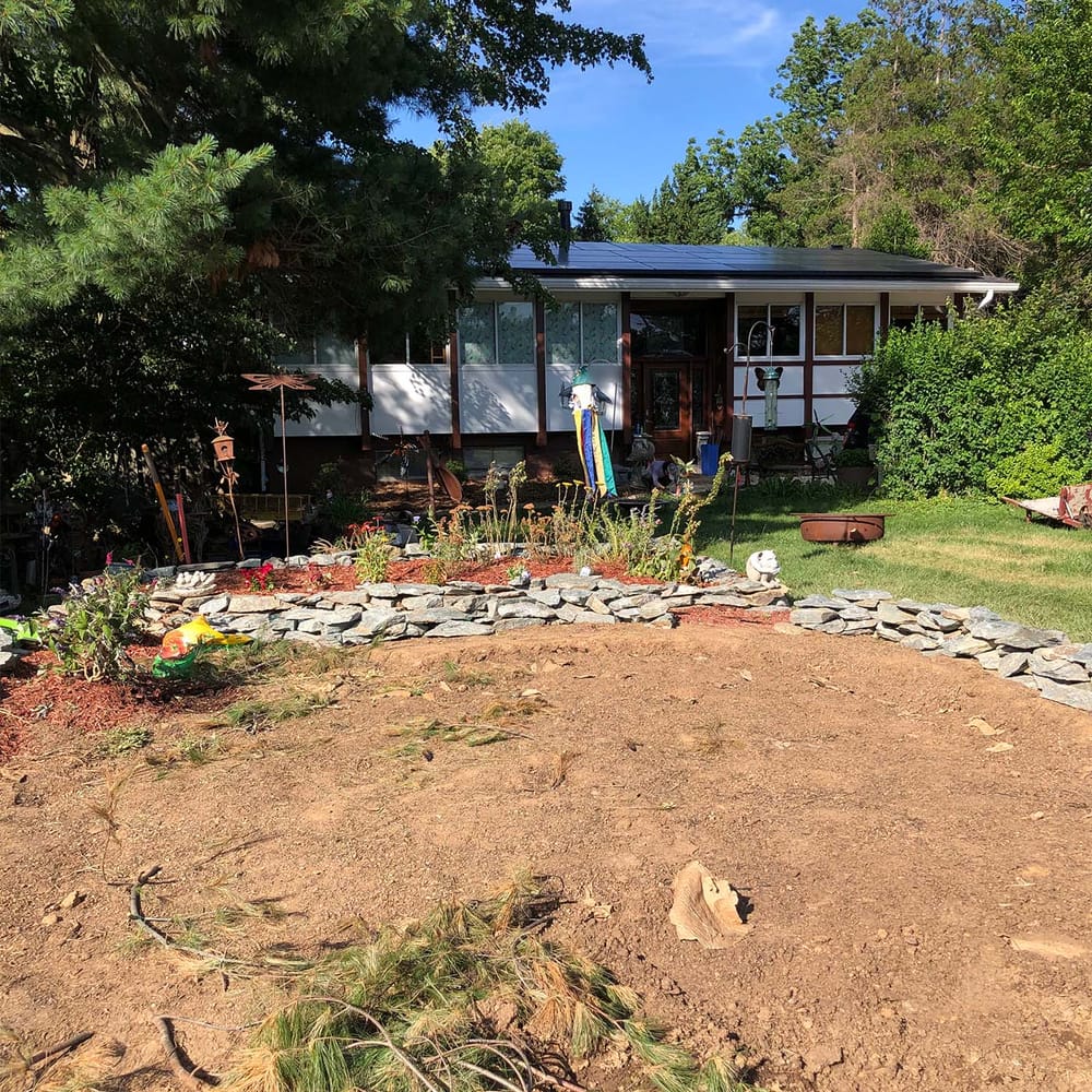 “How We Ditched Our Lawn and Rewilded Our Yard DIY Style”