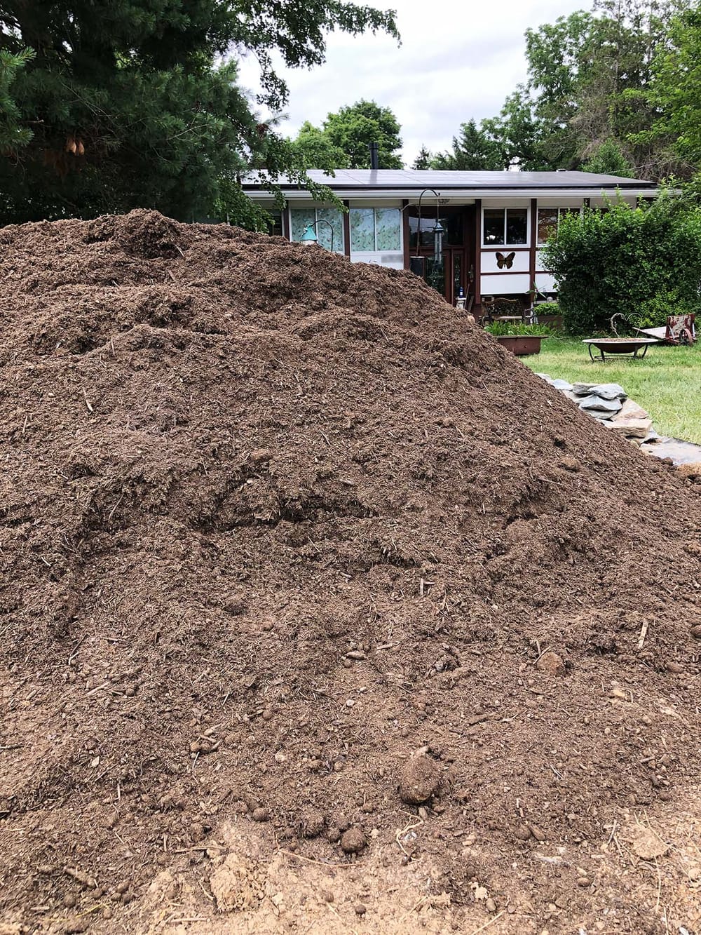 “How We Ditched Our Lawn and Rewilded Our Yard DIY Style”