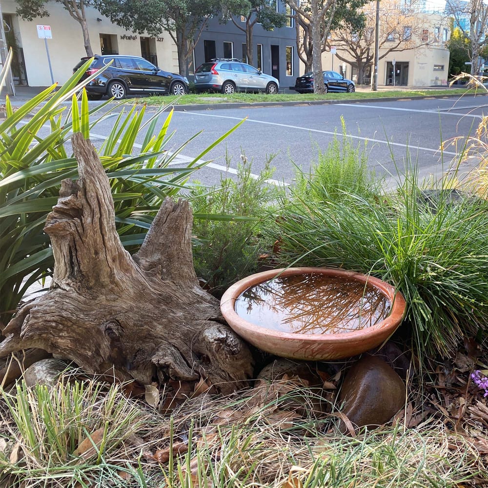 This Pollinator Corridor Is Transforming Melbourne’s Streets