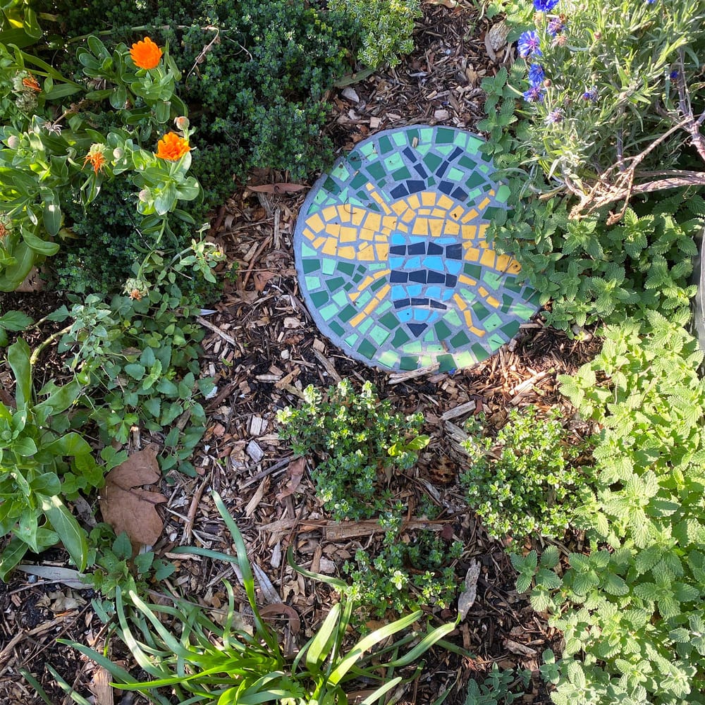 This Pollinator Corridor Is Transforming Melbourne’s Streets