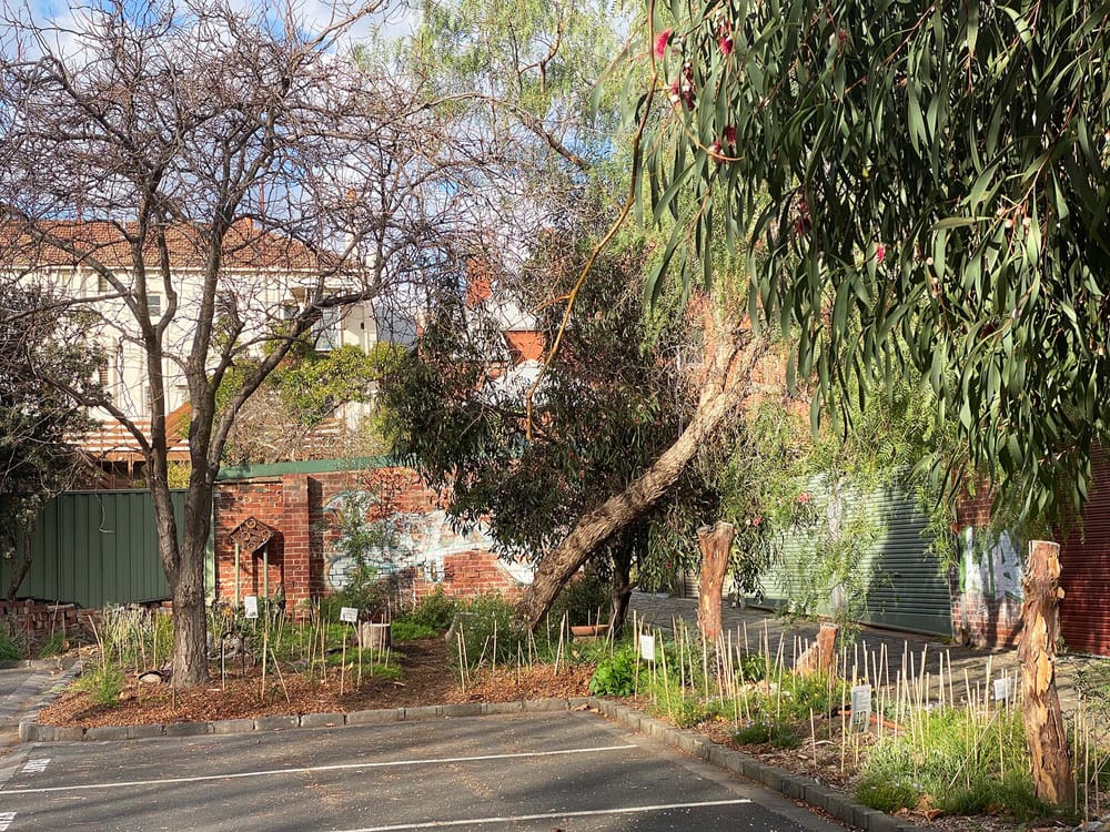 This Pollinator Corridor Is Transforming Melbourne’s Streets