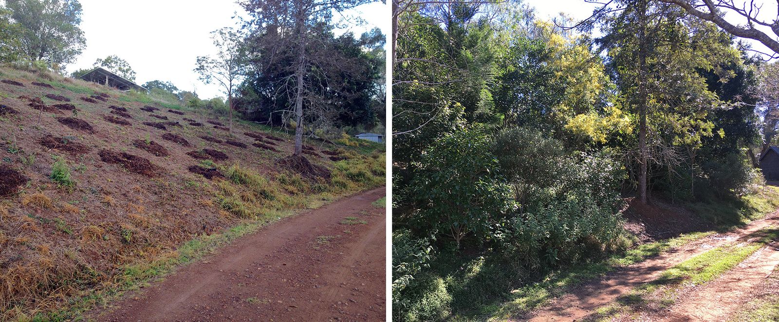 How Land for Wildlife is rewilding Australia | Rewilding Magazine