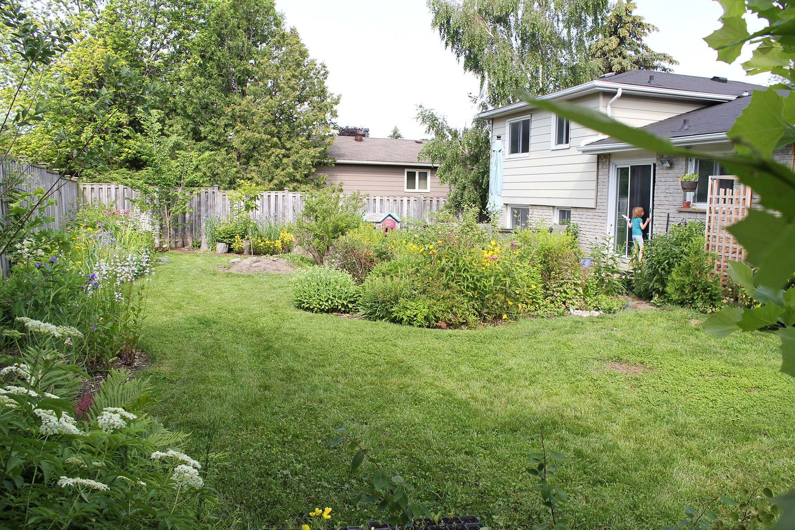 6 Tips for Rewilding Your Home, Garden and Yard