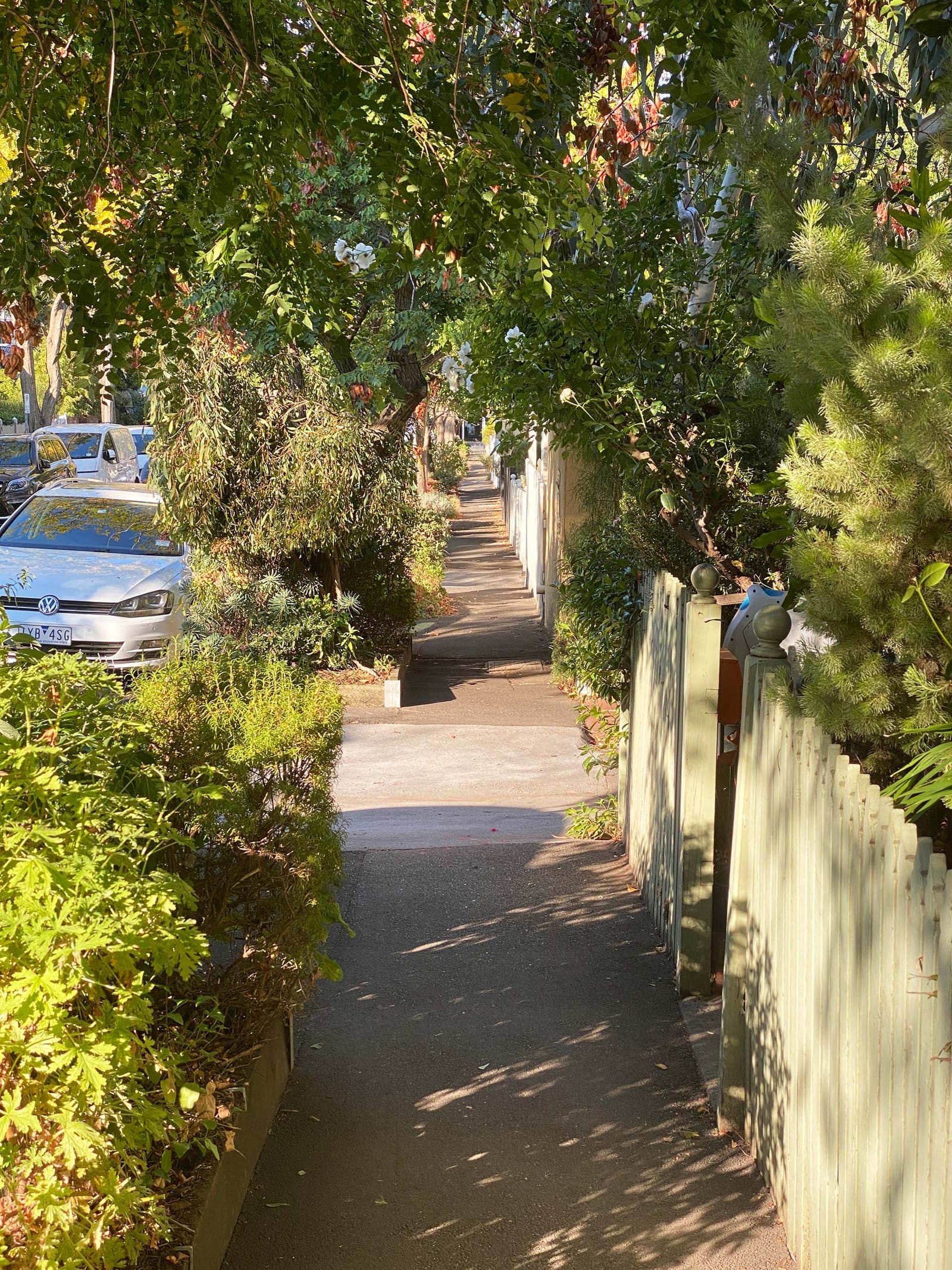 This Pollinator Corridor Is Transforming Melbourne’s Streets