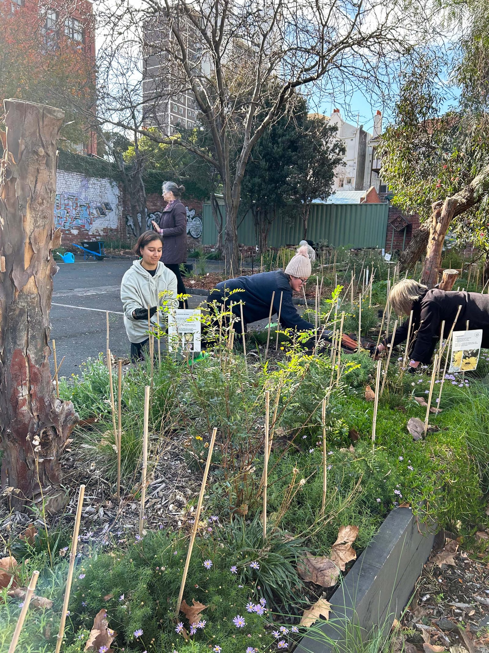 This Pollinator Corridor Is Transforming Melbourne’s Streets