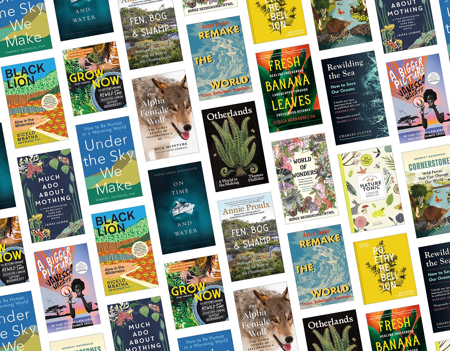 6 Tips for Rewilding Your Home, Garden and Yard