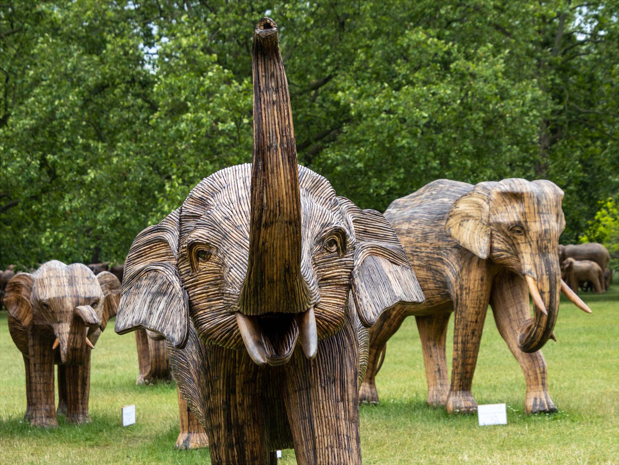 How to Protect Biodiversity | Rewilding Magazine