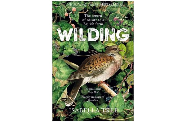 All the Books We Recommended in 2021 | Rewilding Magazine