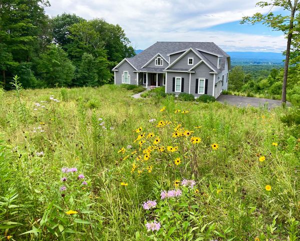 6 Tips to Turn Your Yard into a Meadow