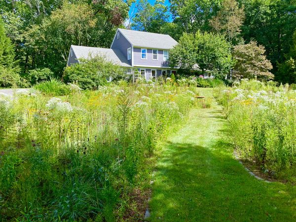 6 Tips to Turn Your Yard into a Meadow
