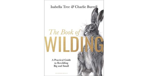 Putting cities at the heart of rewilding