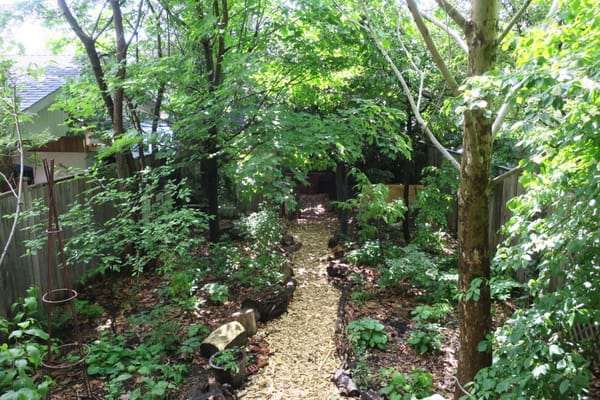 Rewilding your lawn or garden? First, get to know it