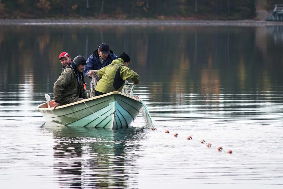 The Skolt Sámi Are Rewilding the Näätämö River to Protect Their Way of Life